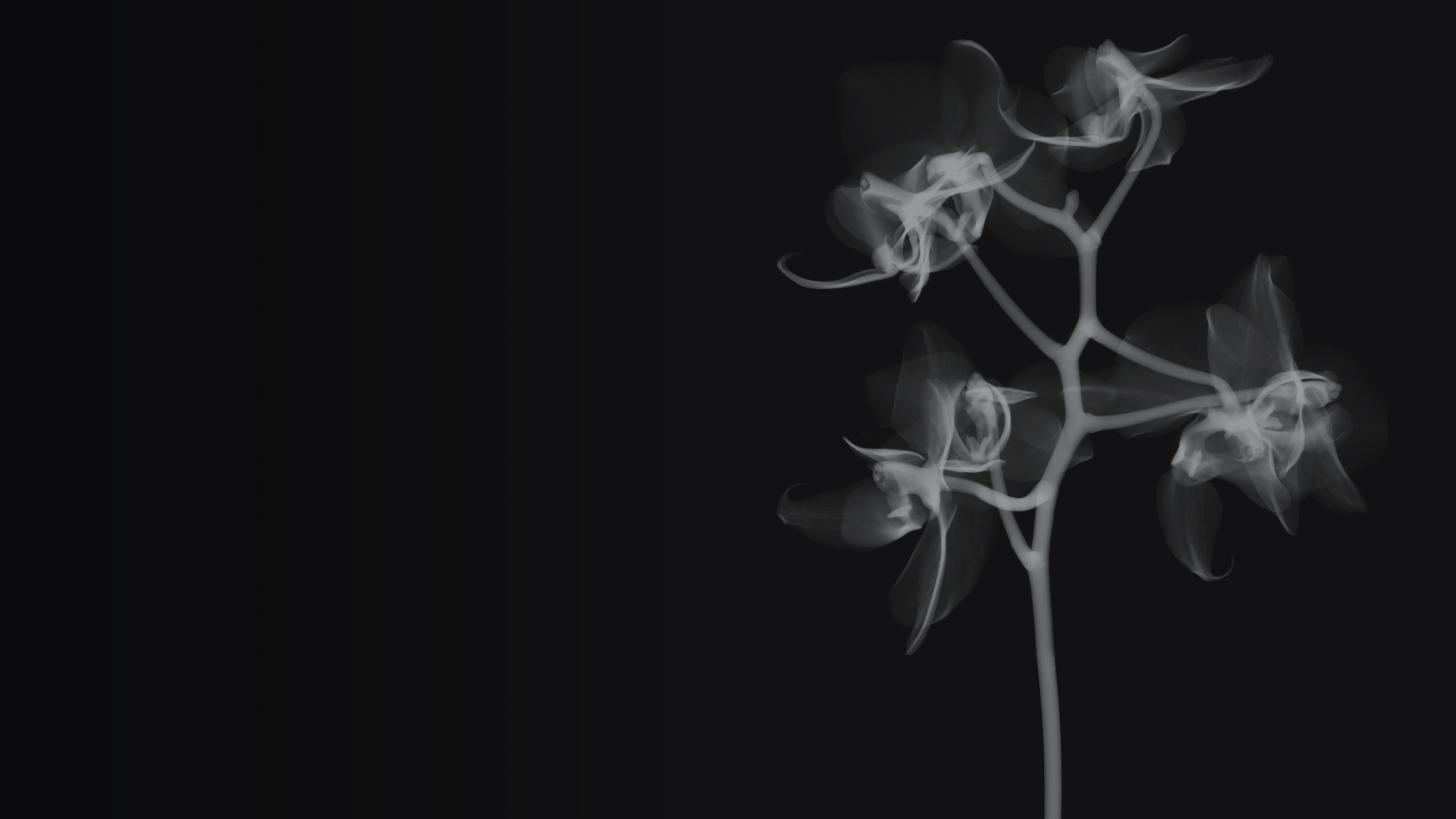 5 things I’d tell my corporate self